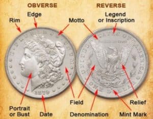 Coin Collecting For Beginners (an Easy Step-By-Step Guide!) – Detecting ...