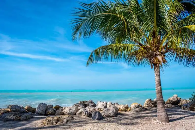 Florida Lost Treasures (15 Mystifying Treasures!) – Detecting School